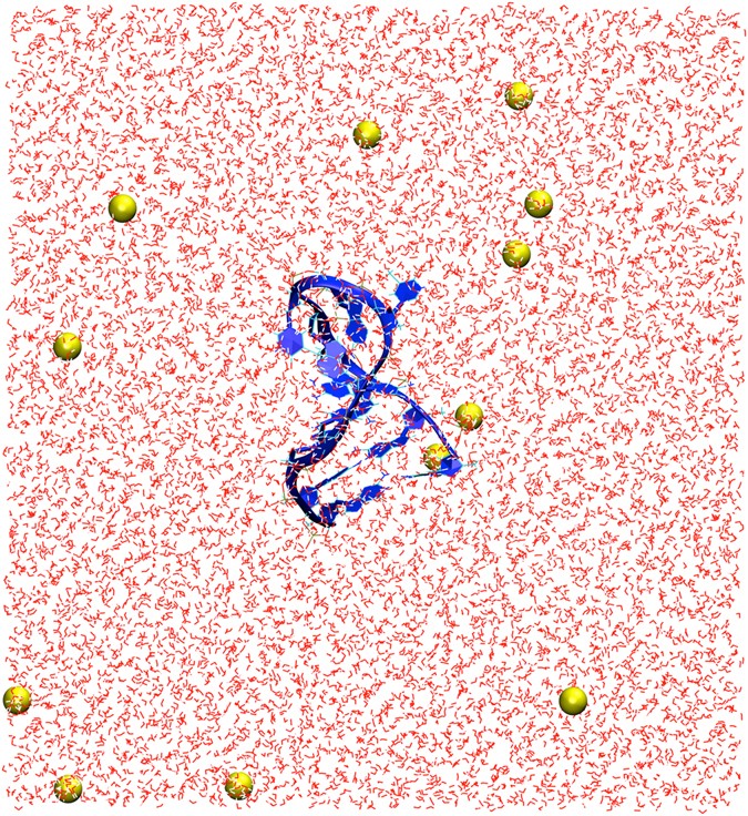 Three-dimensional modeling of single stranded DNA hairpins for aptamer ...