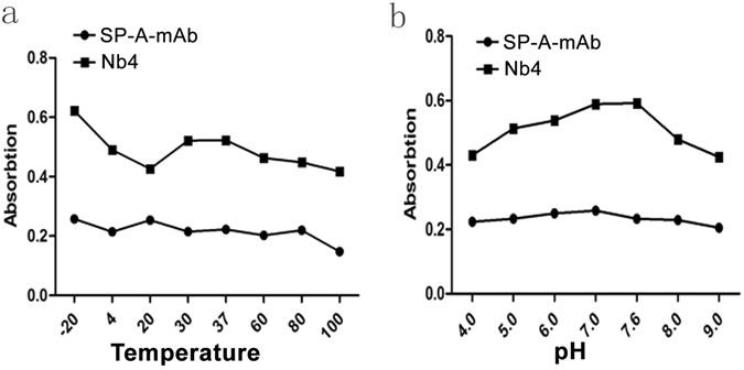 Identification of a nanobody specific to human pulmonary surfactant ...