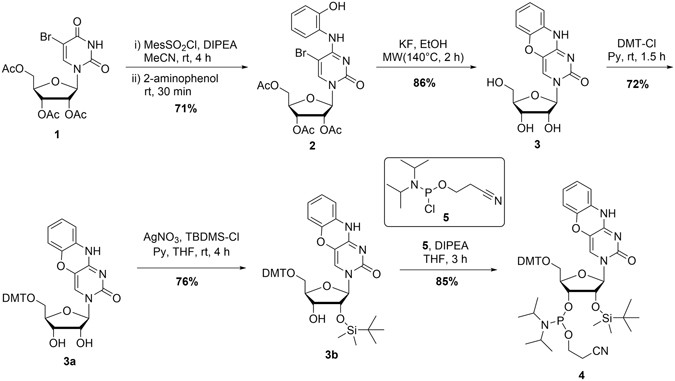 Fluorescent RNA cytosine analogue – an internal probe for detailed ...