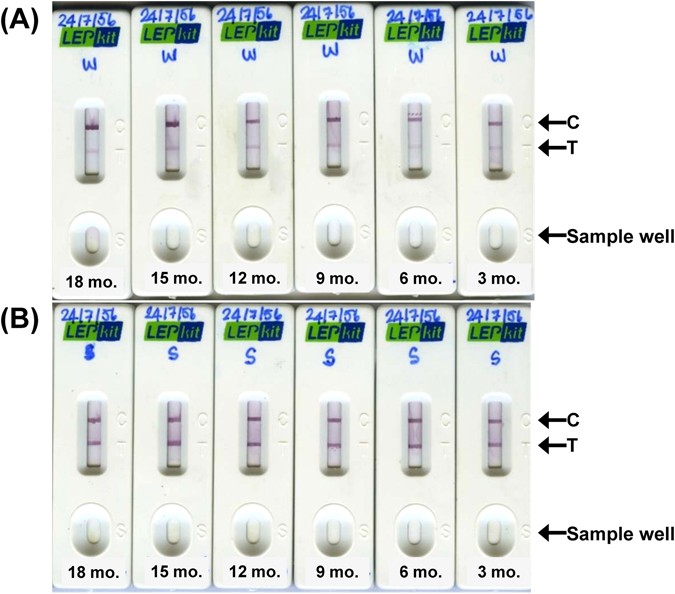 Development and evaluation of an immunochromatographic assay to detect ...