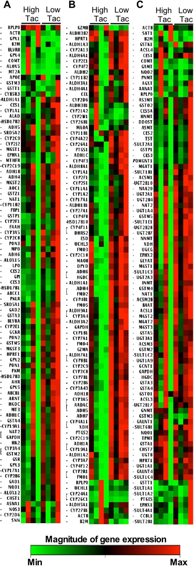 The correlation between the expression of genes involved in drug ...