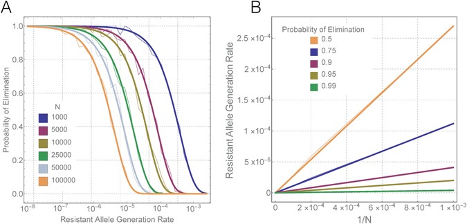Overcoming evolved resistance to population-suppressing homing-based ...