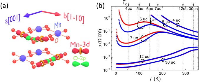 Experimental evidence for anisotropic double exchange interaction ...