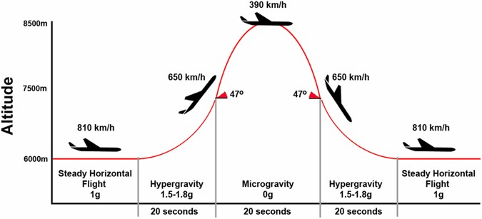 Intrinsic functional connectivity reduces after first-time exposure to ...