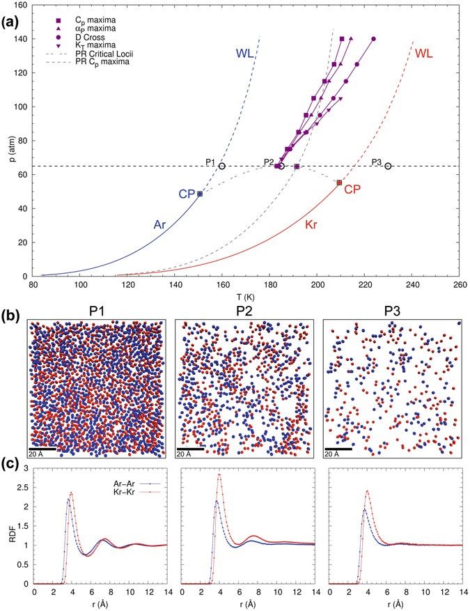 Widom Lines in Binary Mixtures of Supercritical Fluids | Scientific Reports