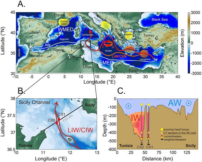Rapid response to climate change in a marginal sea | Scientific Reports