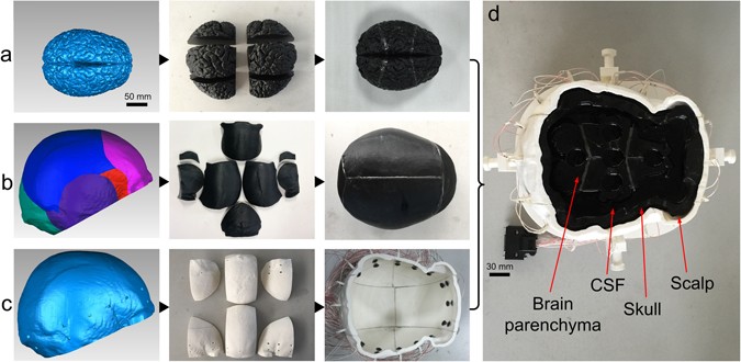 A novel 3D-printed head phantom with anatomically realistic geometry ...