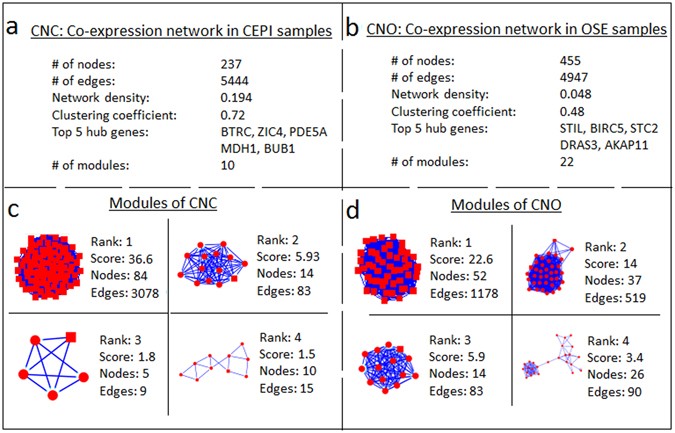 Differential co-expression analysis reveals a novel prognostic gene ...
