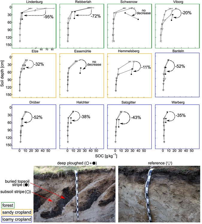 Stability of buried carbon in deep-ploughed forest and cropland soils ...