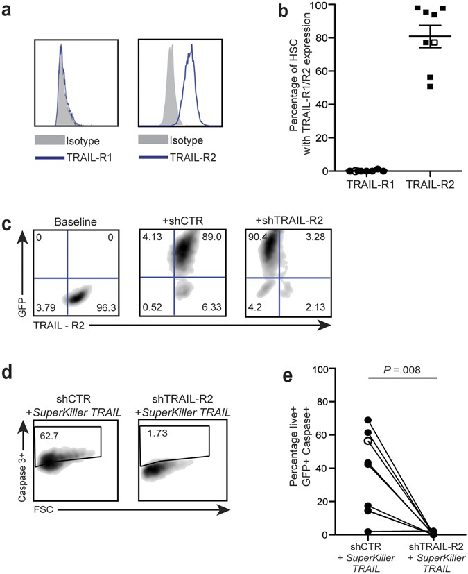TRAIL regulatory receptors constrain human hepatic stellate cell ...