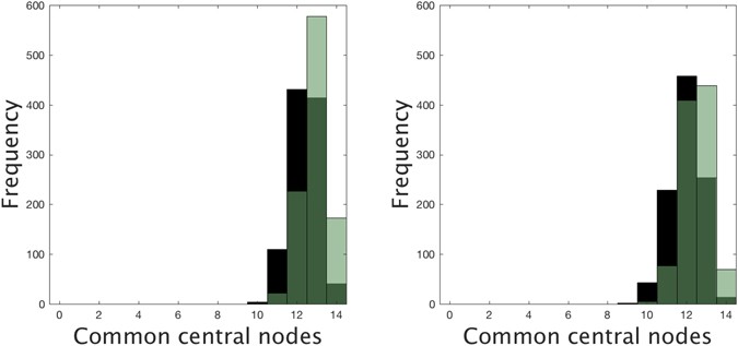 Network-Centric Interventions to Contain the Syphilis Epidemic in San ...