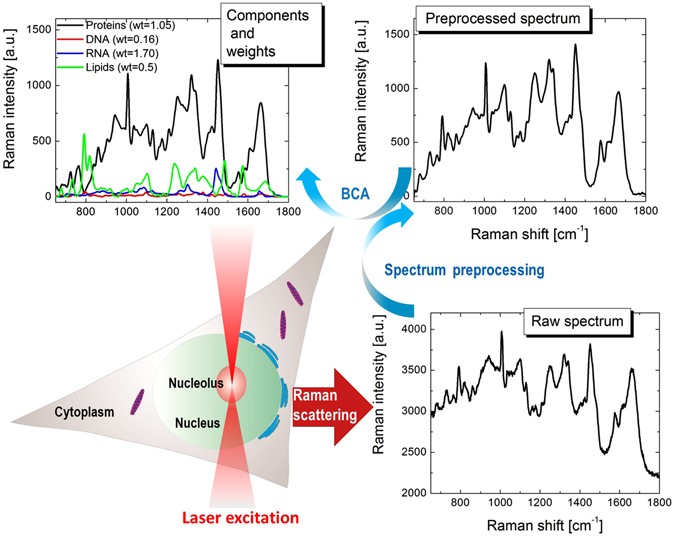 Molecular profiling of single organelles for quantitative analysis of ...