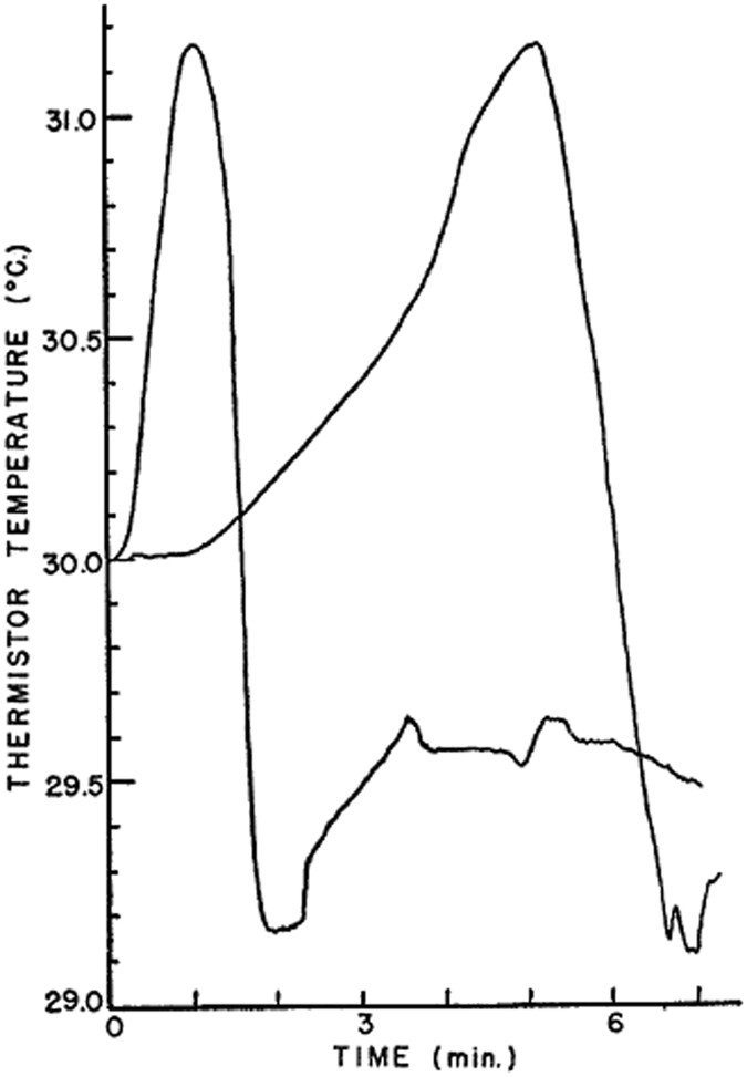 Occurrence of temperature spikes at a wetting front during spontaneous ...