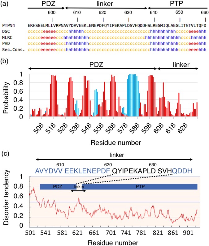 Regulation of the Human Phosphatase PTPN4 by the inter-domain linker ...