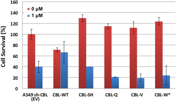 Differential responsiveness of MET inhibition in non-small-cell lung ...