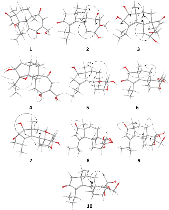 Molecular Diversity and Potential Anti-neuroinflammatory Activities of ...