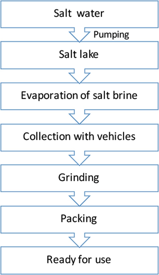 Microplastics in Spanish Table Salt | Scientific Reports