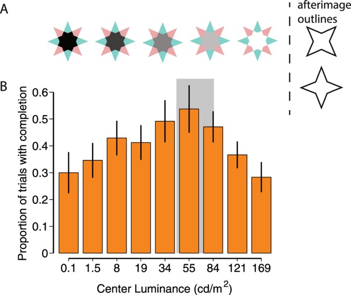 The role of transparency cues in afterimage color perception ...