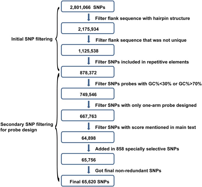 Genome-wide Target Enrichment-aided Chip Design: a 66 K SNP Chip for ...