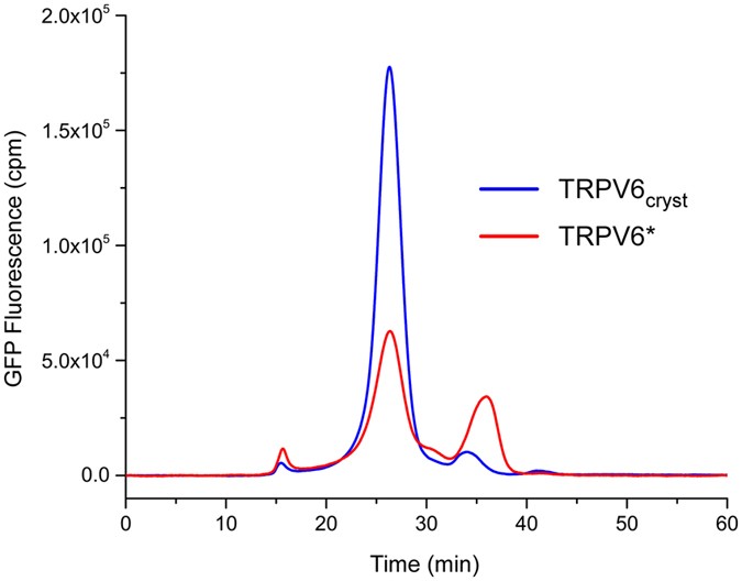 Swapping of transmembrane domains in the epithelial calcium channel ...