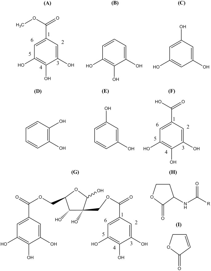 Impact of phenolic compounds in the acyl homoserine lactone-mediated ...