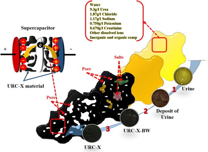 Urine to highly porous heteroatom-doped carbons for supercapacitor: A ...