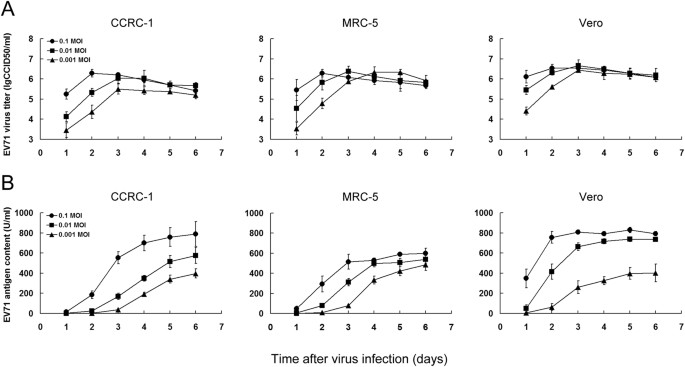 The hUC-MSCs cell line CCRC-1 represents a novel, safe and high ...