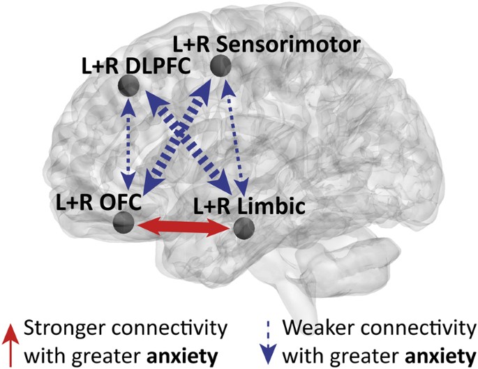 Separate neural representations of depression, anxiety and apathy in ...
