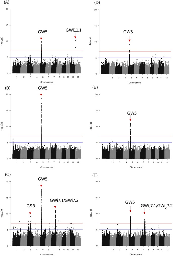 Whole genome sequencing-based association study to unravel genetic ...