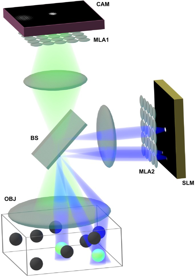 Compressive Volumetric Light-Field Excitation | Scientific Reports
