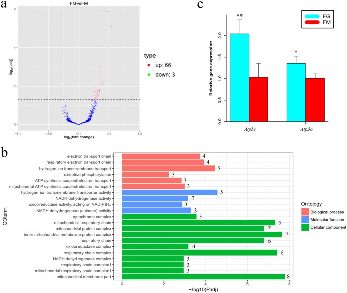 RNA-Seq transcriptome profiling of mouse oocytes after in vitro ...