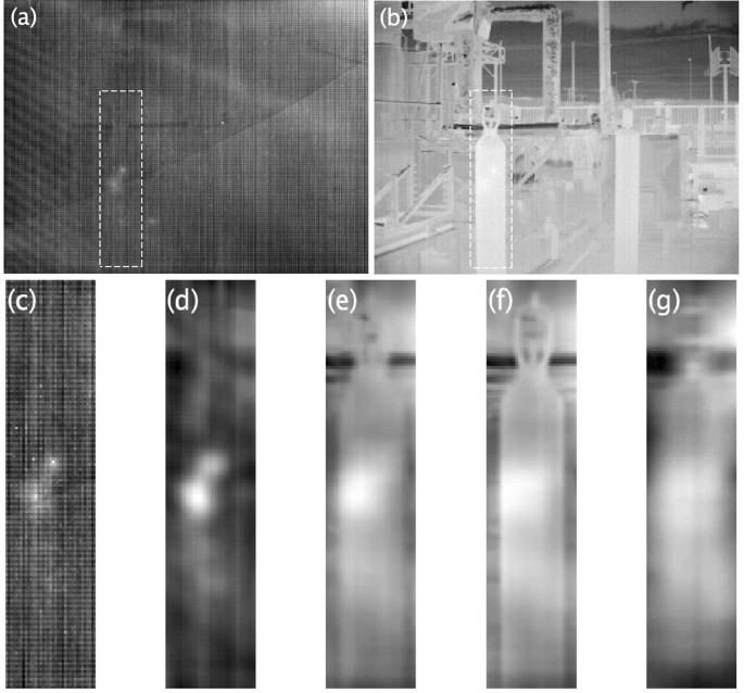Infrared light field imaging system free of fixed-pattern noise ...
