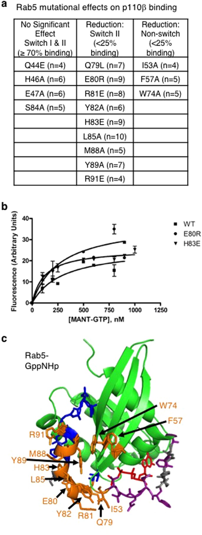 Identification of the Binding Sites on Rab5 and p110beta ...