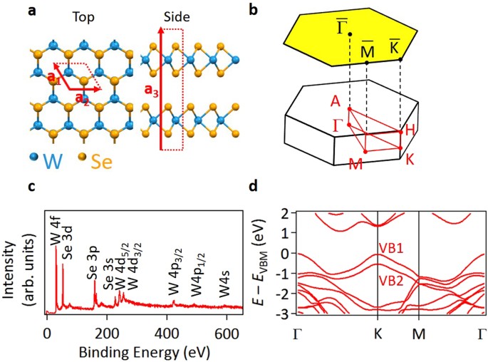 Femtosecond to picosecond transient effects in WSe 2 observed by pump ...
