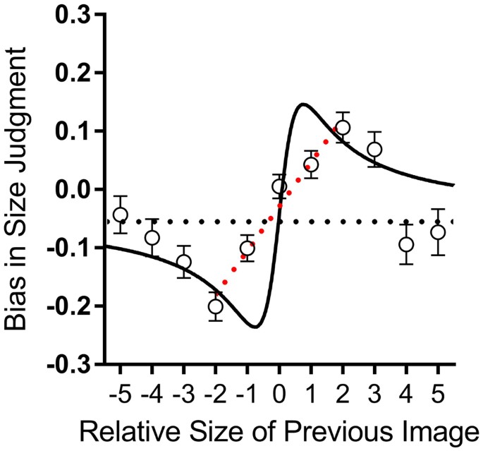 Past visual experiences weigh in on body size estimation | Scientific ...