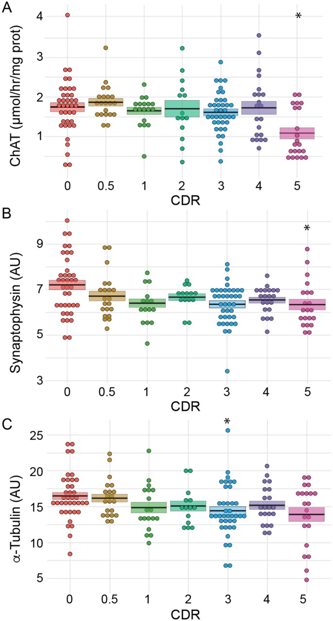 Moderate decline in select synaptic markers in the prefrontal cortex ...