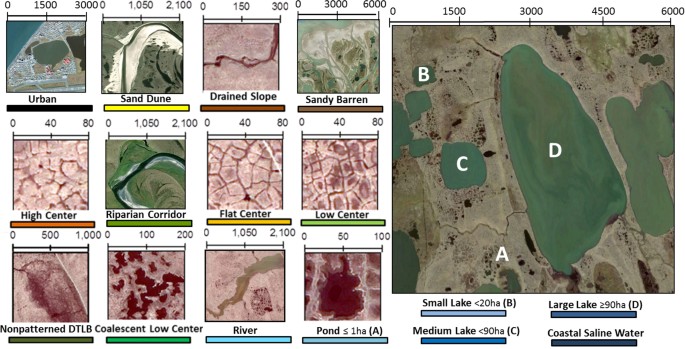 Reduced arctic tundra productivity linked with landform and climate ...