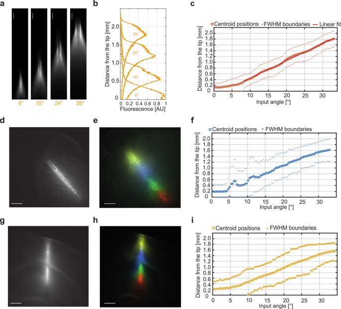 Tailoring light delivery for optogenetics by modal demultiplexing in ...