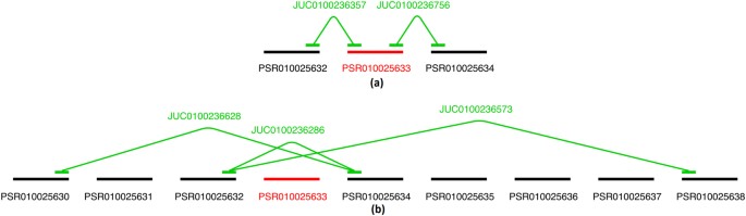 The Usage of Exon-Exon Splice Junctions for the Detection of Alternative Splicing using the ...