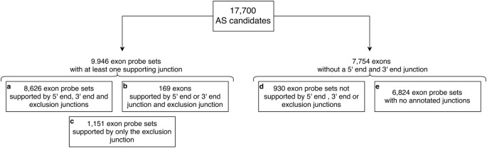 The Usage of Exon-Exon Splice Junctions for the Detection of Alternative Splicing using the ...