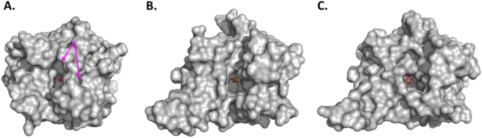 Structural and Biochemical Characterization of AaL, a Quorum Quenching ...