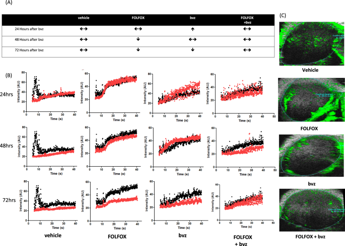 Anti-angiogenic drug scheduling optimisation with application to ...