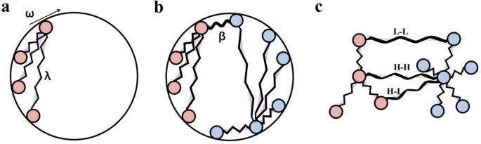 Synchronization Of Interconnected Heterogeneous Networks The Role Of