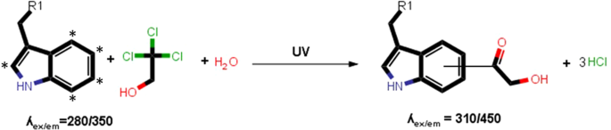 Protein quantification and visualization via ultraviolet-dependent ...