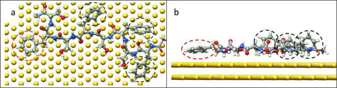 Peptide Capping Agent Design for Gold (111) Facet by Molecular ...