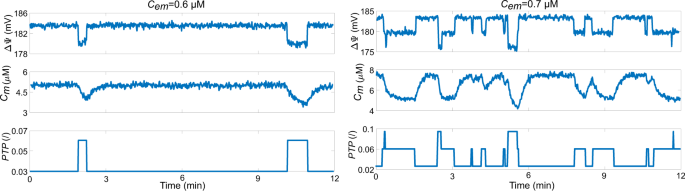 Dual dynamics of mitochondrial permeability transition pore opening ...