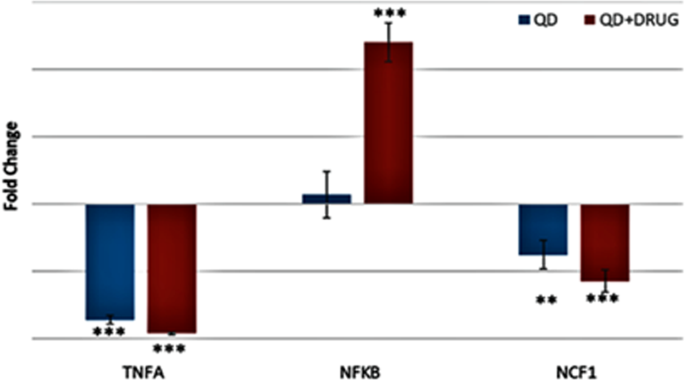 Cytotoxicity, fluorescence tagging and gene-expression study of CuInS ...