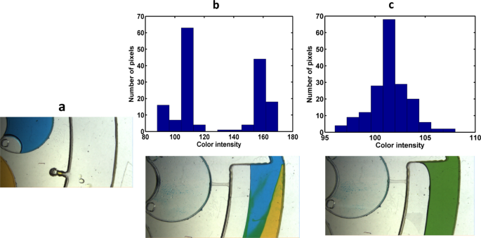 Development of simple and efficient Lab-on-a-Disc platforms for ...