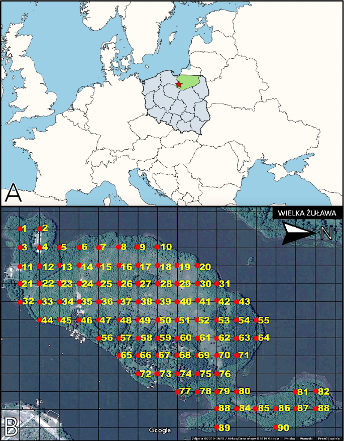 Landscape-scale mapping of soil fungal distribution: proposing a new ...