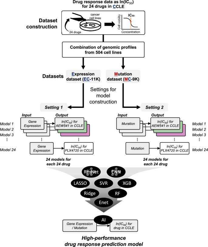 A performance evaluation of drug response prediction models for ...